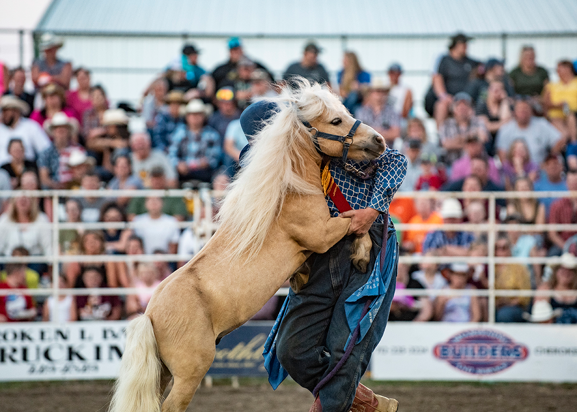 Dog & Pony Show – Jesse Larson